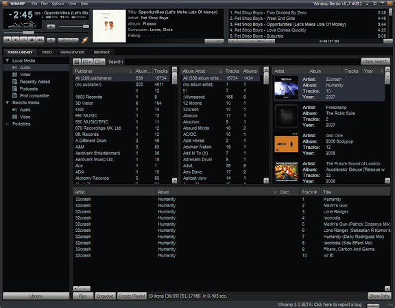 itFun.jp: Winamp 5.5 Beta : New Skin, New Features